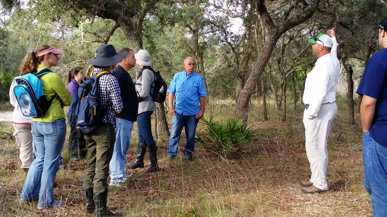 The Warea Tract of Seminole State Forest - YouTube