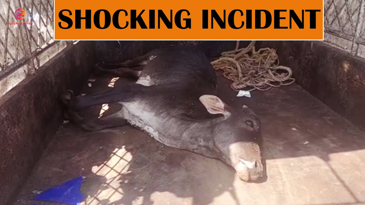 SHOCKING INCIDENT - YouTube