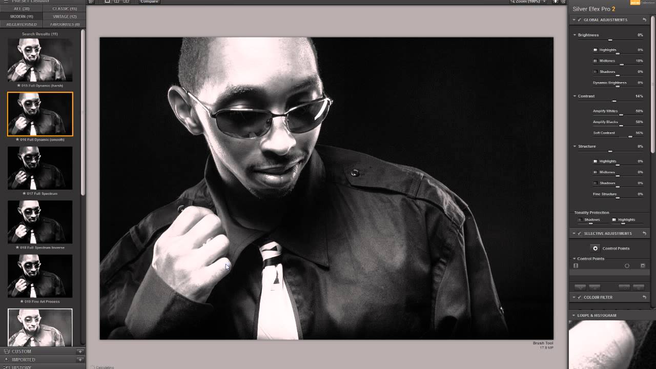 A Quick Start Guide to Silver Efex Pro 2 for Black and White Imagery ...