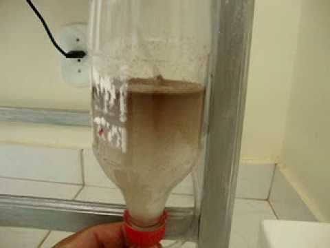 Eclodir cistos de Artêmias ( fácil). - YouTube