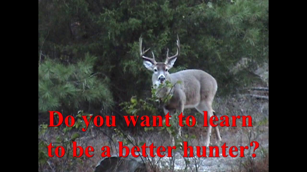 Deer Hunting 101 Workshop - YouTube