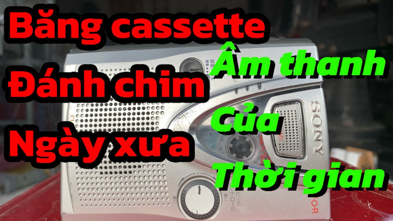 ĐÁNH CHIM BẰNG BĂNG CASSETTE RẤT HAY - YouTube