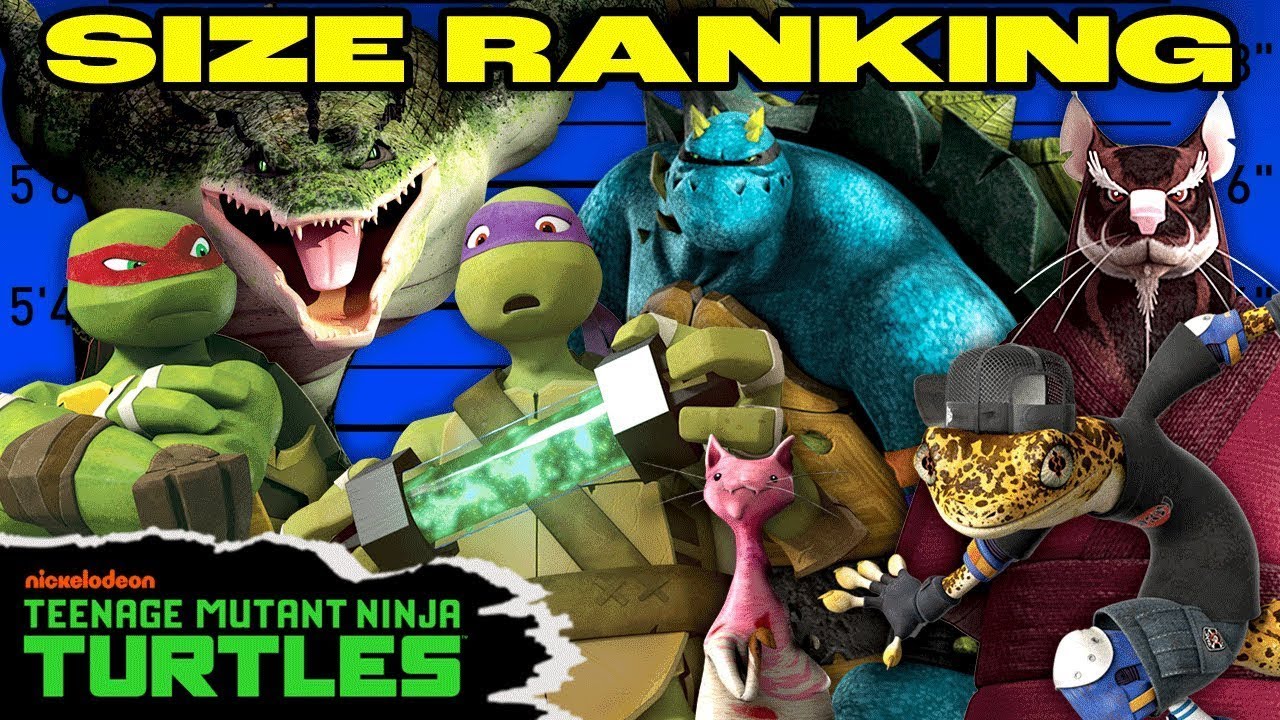 Every Hero in TMNT Ranked By SIZE 📏 | Teenage Mutant Ninja Turtles ...