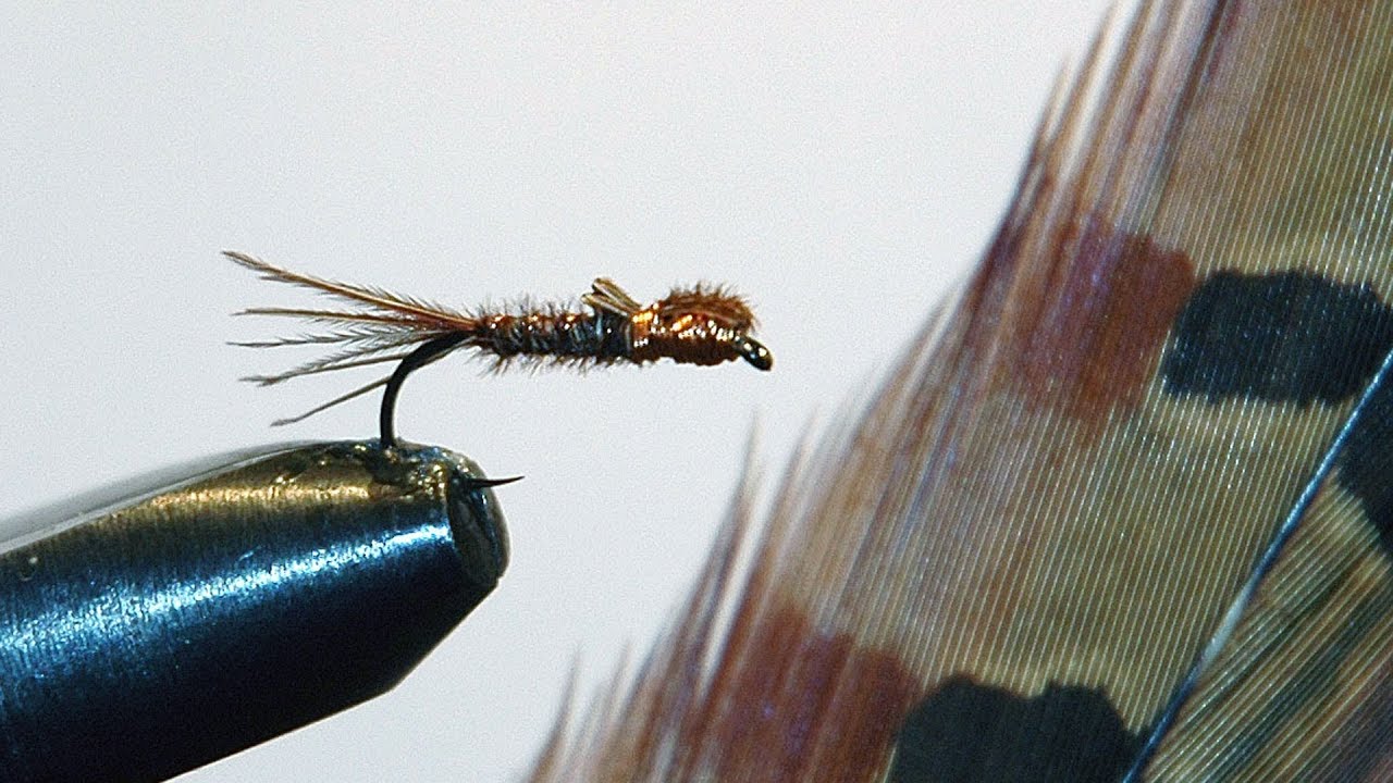 Fly Tying - the Pheasant Tail Nymph - YouTube