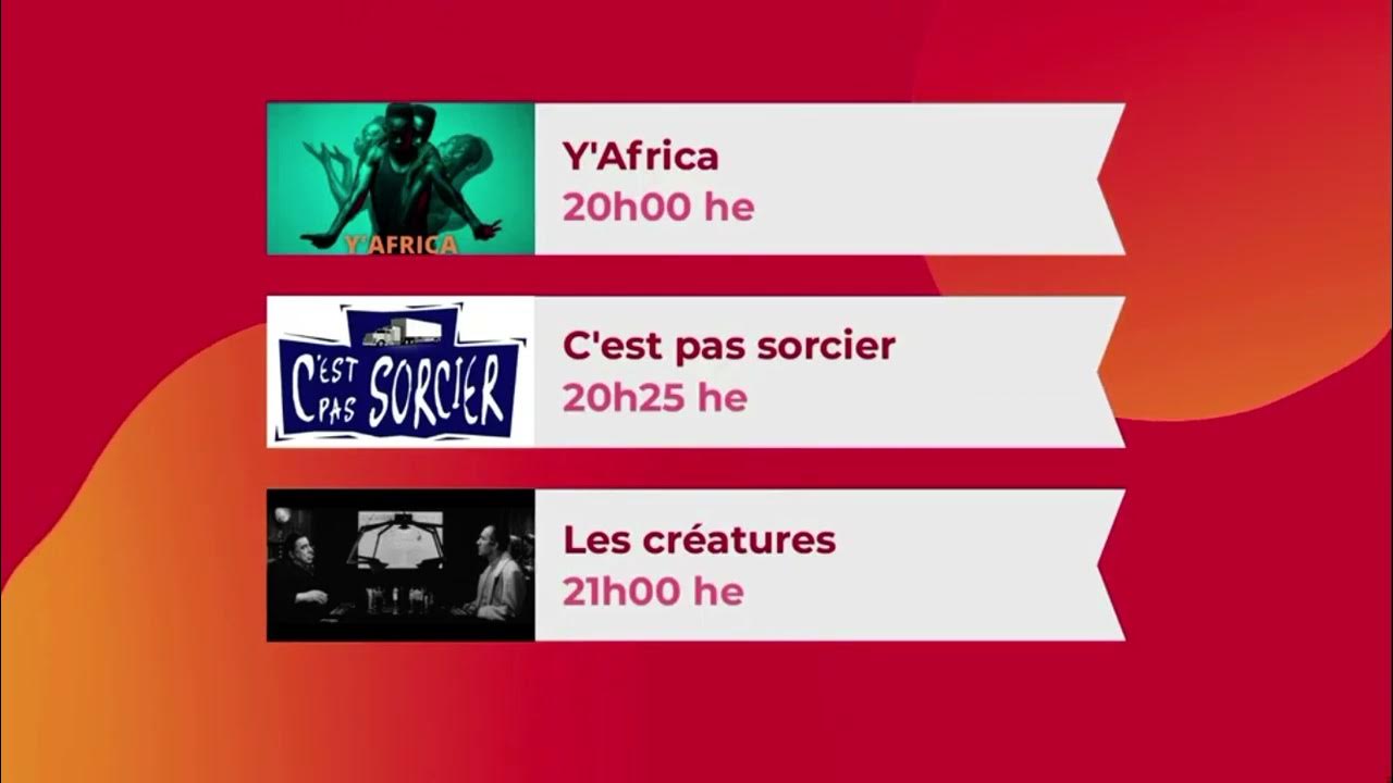 TFO Line-Up Bumper (2023, Flip TFO) - YouTube