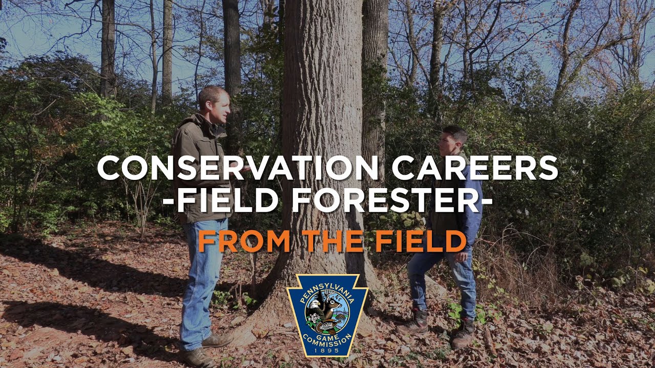 From the Field-Conservation Careers: Field Forester - YouTube
