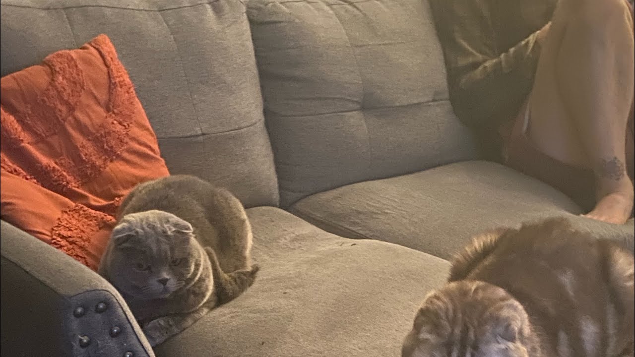 GD World full game (all levels 100% completed) - YouTube