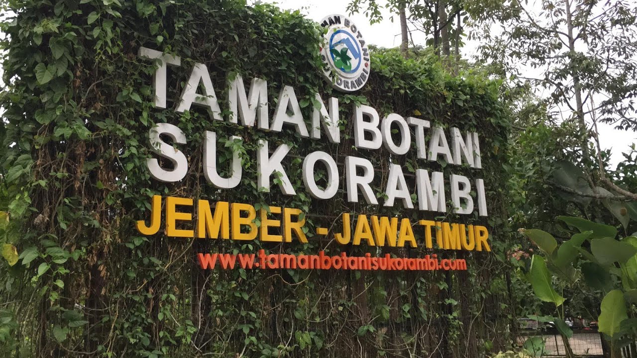 WISATA ALAM DAN EDUKASI ‼️TAMAN BOTANI SUKORAMBI JEMBER - YouTube