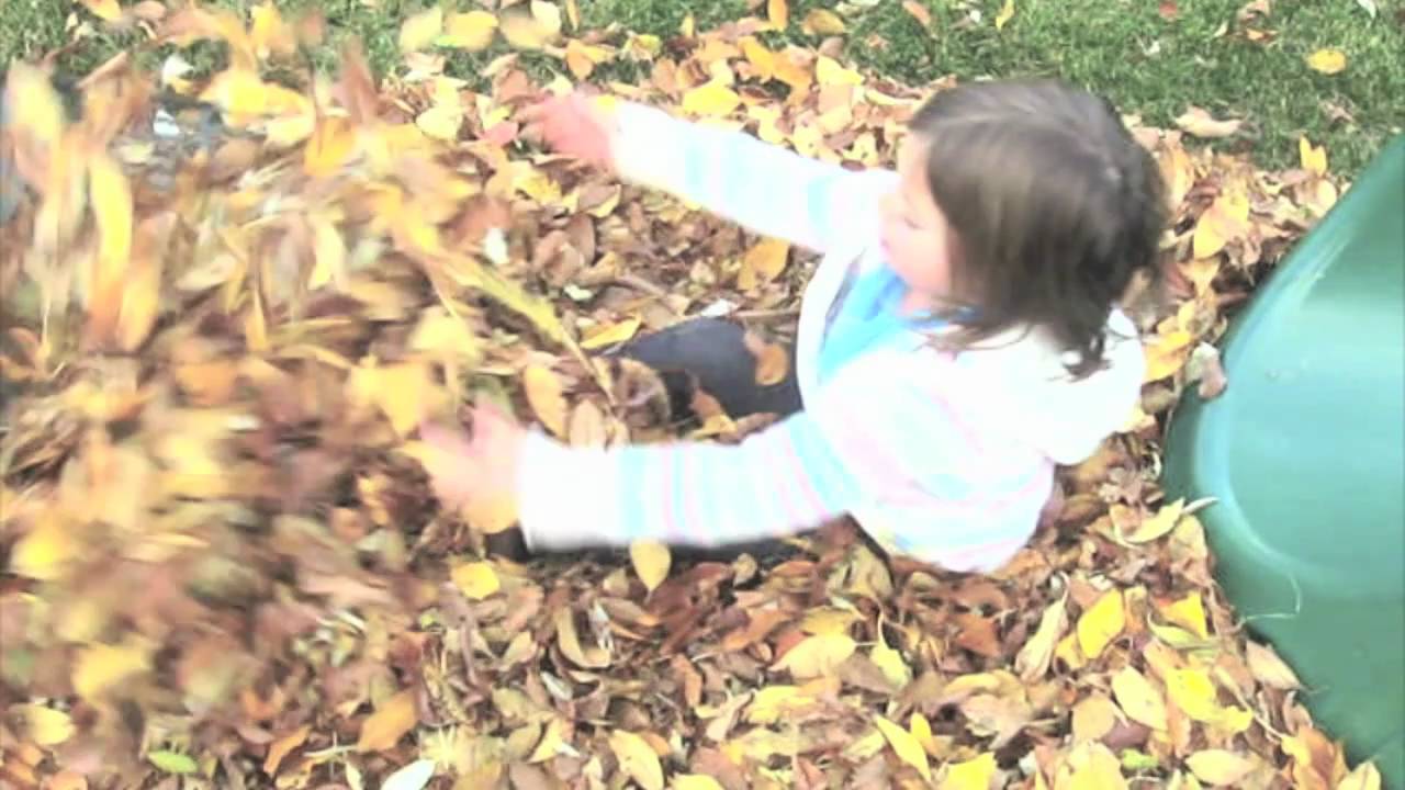 Leaf Jumpers - YouTube
