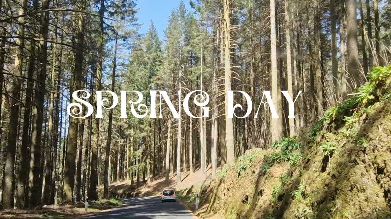 Beautiful Spring day in the Mountains / Classical Music / Road Trip ...