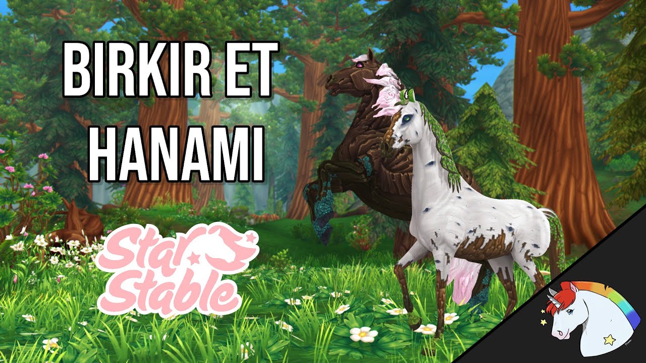 BIRKIR ET HANAMI 🌿🌸 : Achat & Revue - [Star Stable Online] - YouTube