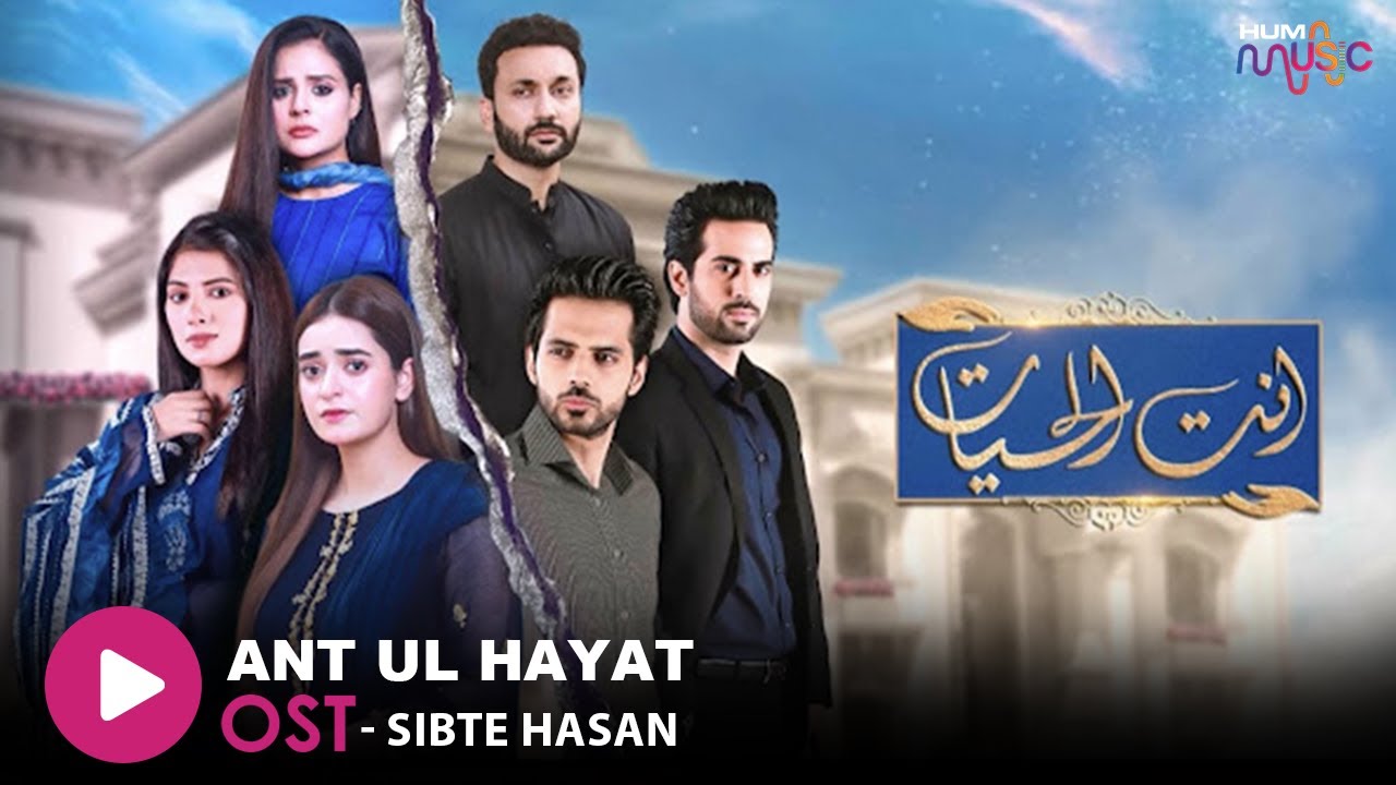 Ant Ul Hayat - Orignal Sound Track 🎶 - Singer : Sibte Hasan - HUM MUSIC ...