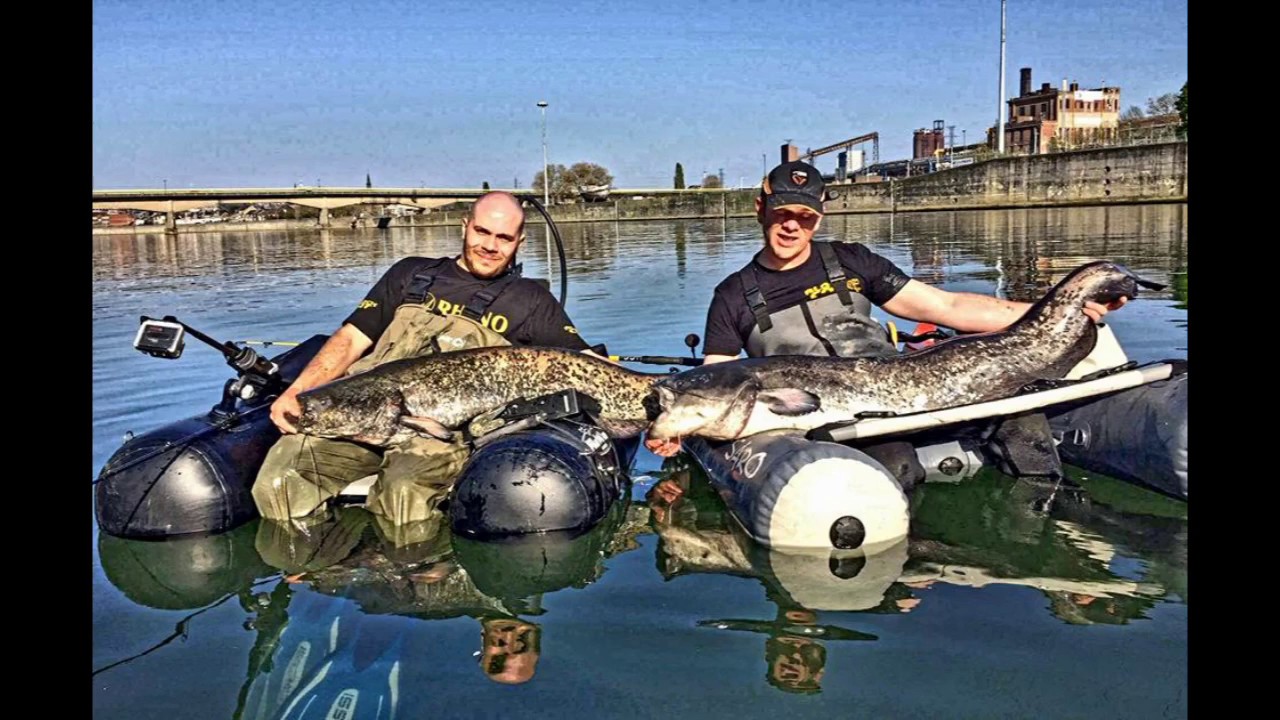 Float tube silure Meuse - YouTube