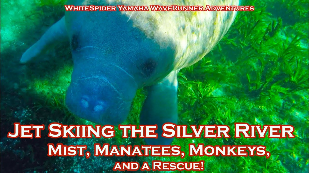 Jet Ski the Silver Springs River, Florida - Manatees, Monkeys, and a ...