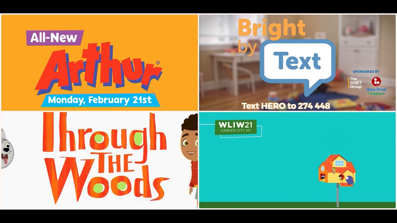 PBS Kids Program Break (2022 WLIW-DT1) - YouTube