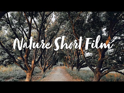 Nature Short Film | Nature Cinematic Video | Shot On Iphone11