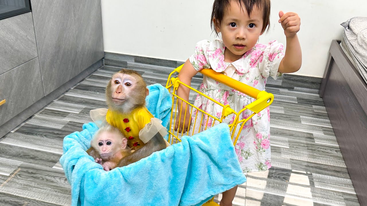 Diem playing with monkey Kaka and baby monkey Mit looked so happy - YouTube
