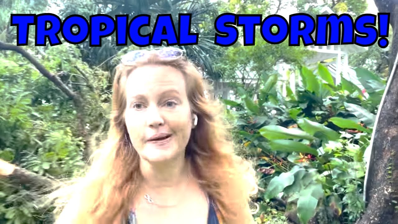 Are You Prepared to Protect Your Home from Tropical Storms? TREES ...