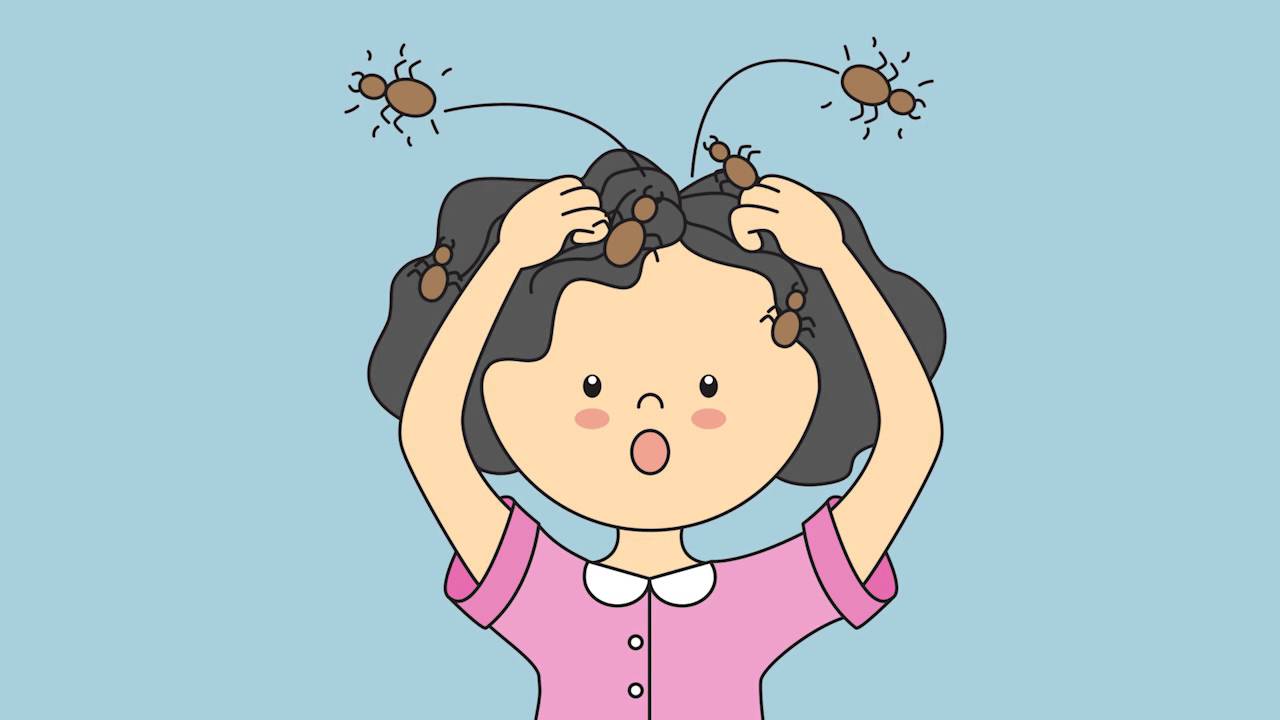 Myths and Facts About Lice in Our Lives - #1 - YouTube