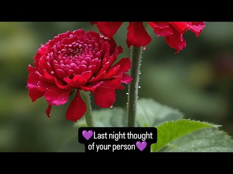 🤡Last night thought of your person 🤡 #astrology #tamil #healing #spirituality #lovestatus #tarot 