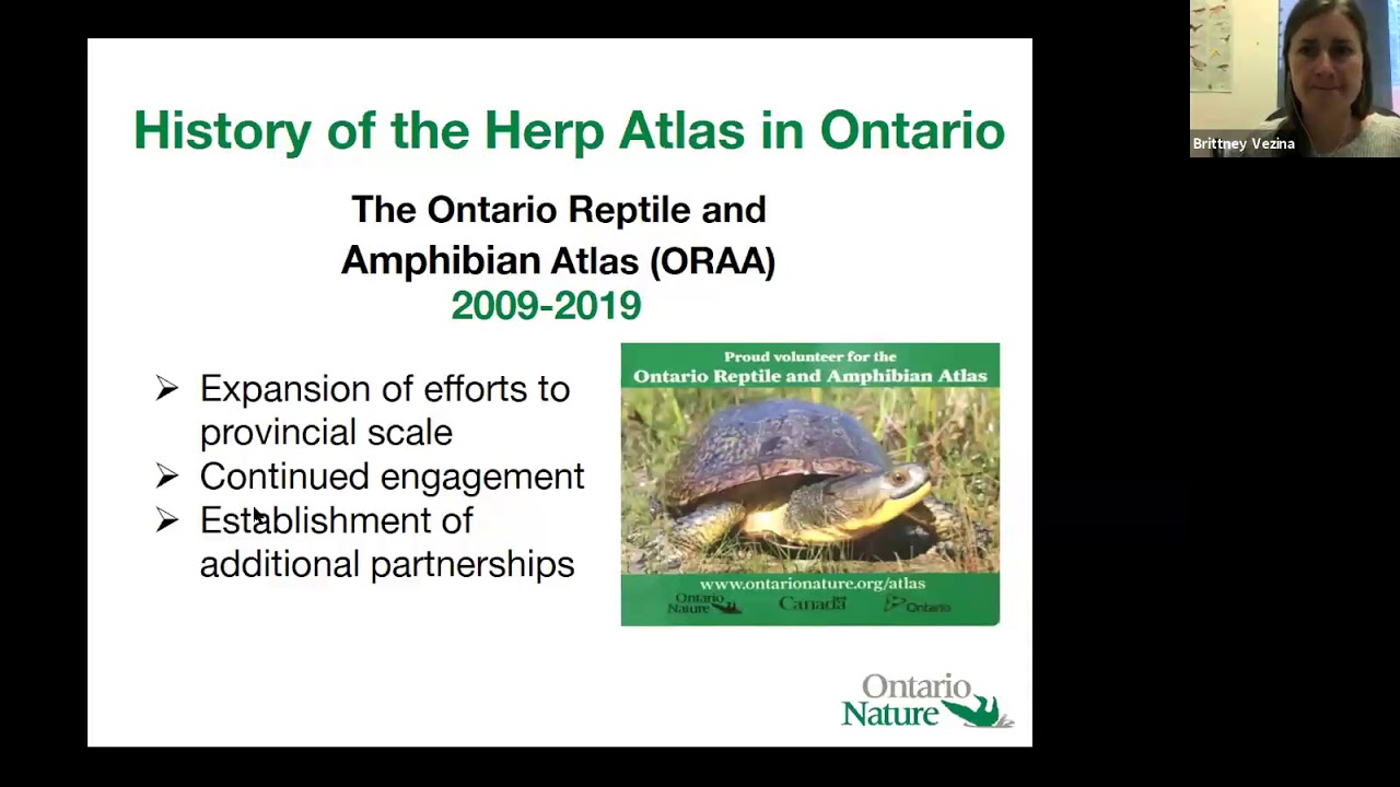 Ontario Reptile and Amphibian Atlas Publication Webinar - YouTube