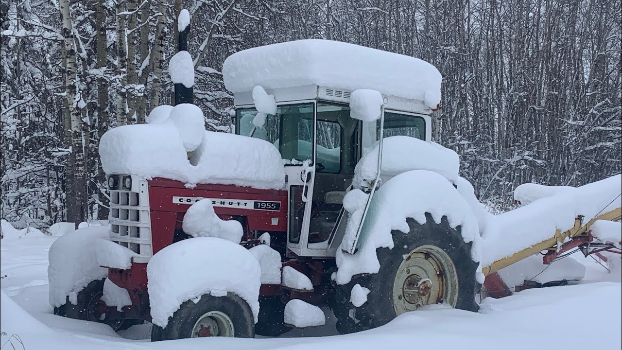 Crazy weather on the farm. Massive snow fall - YouTube