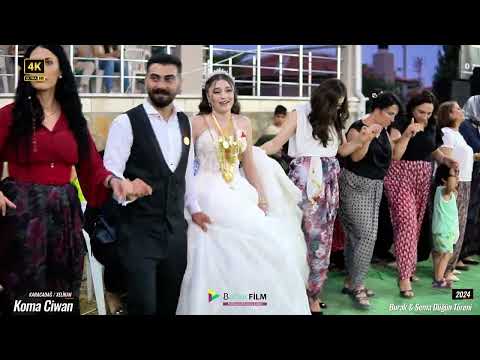 Burak & Sema Düğün Töreni Koma Ciwan 2 Karacadağ / Xelikan / 2024