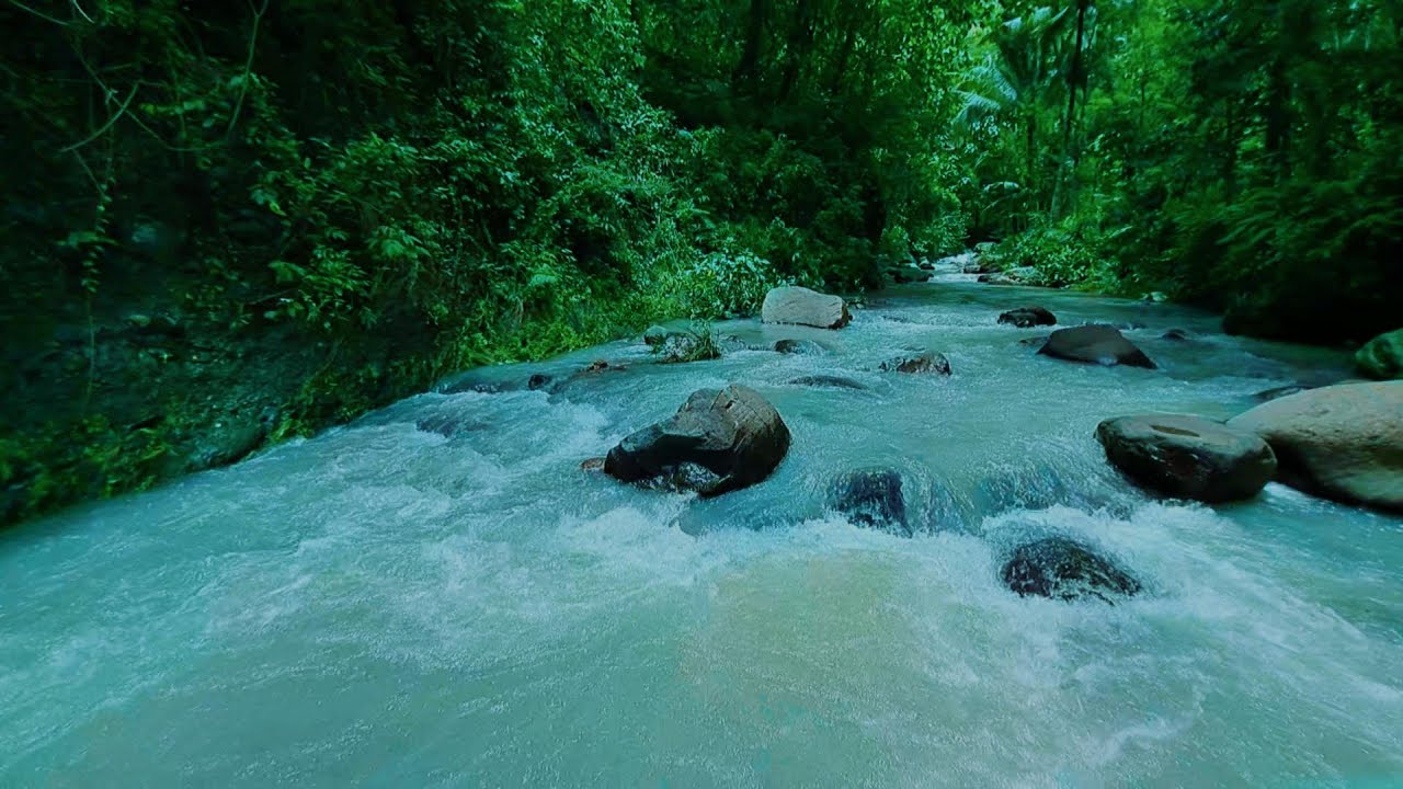 Digital Detox – River Sounds for Mental Clarity" x5 - YouTube