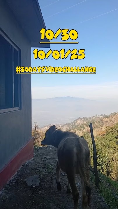 Day 10/30 | A day in my life ️ (pt.-2) |#30daysvideochallenge #minivlog #ytshorts #adayinmylife ...