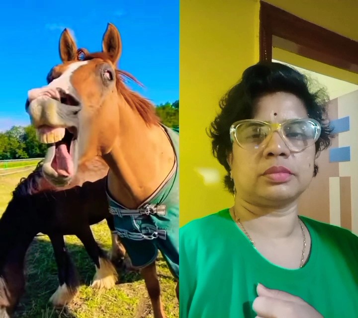 🤣🤣 neend nahi aa rahi #funny #comedy #fun #jokes #memes #varsha1985 # ...