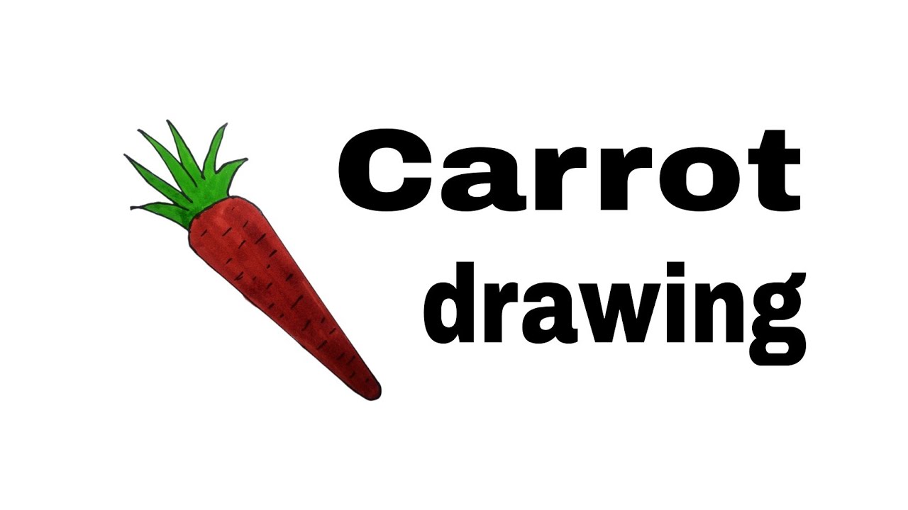 How to draw a Carrot Form V | simple and easy carrot drawing and ...