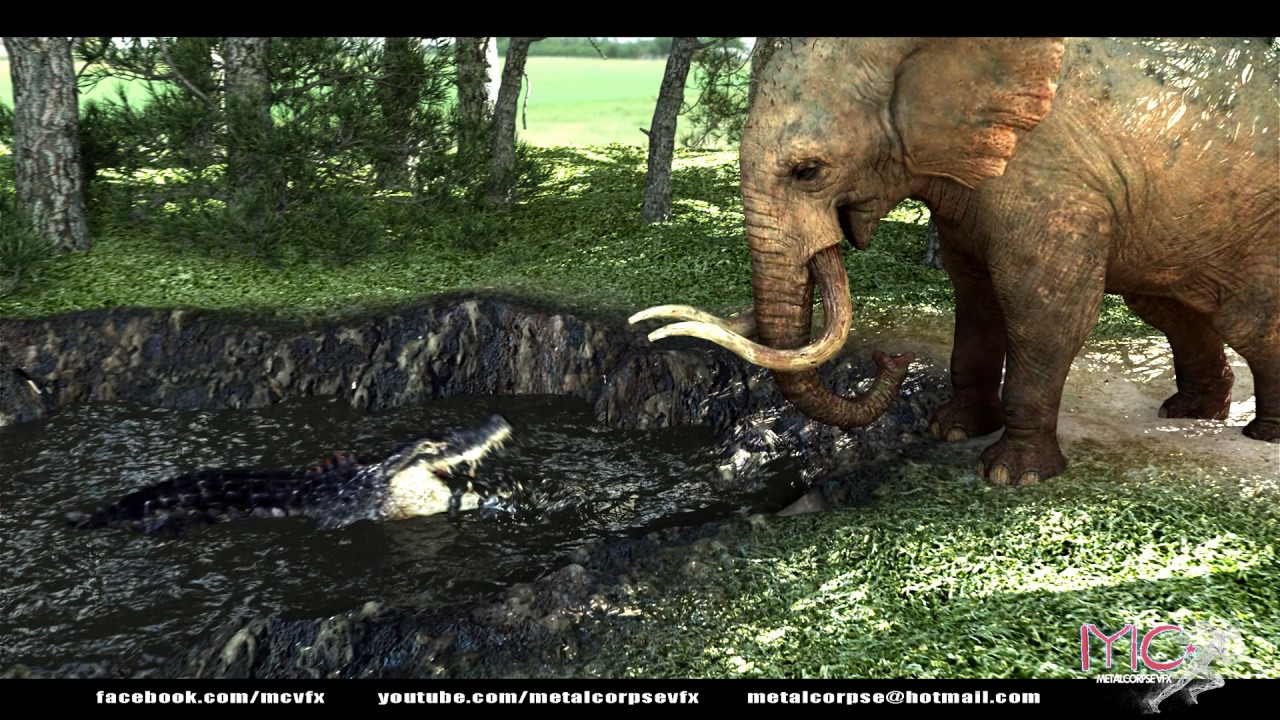 Elephant vs Crocodile water fight scene - YouTube