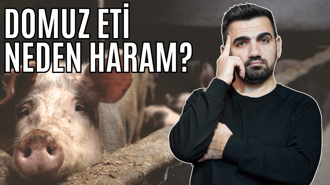 DOMUZ ETİ NEDEN HARAM KILINMIŞTIR ? - YouTube