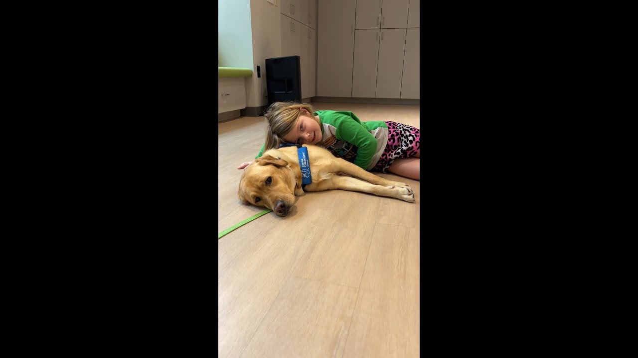 A Day in the Life of Loopie - YouTube