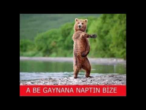 En Komik Hayvan Capsleri 2018