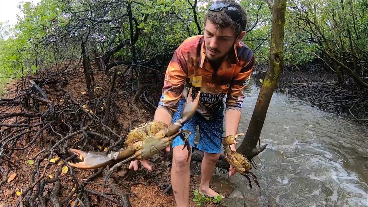 Spearfishing great barrier reef| mudcrab pots | family adventure ...