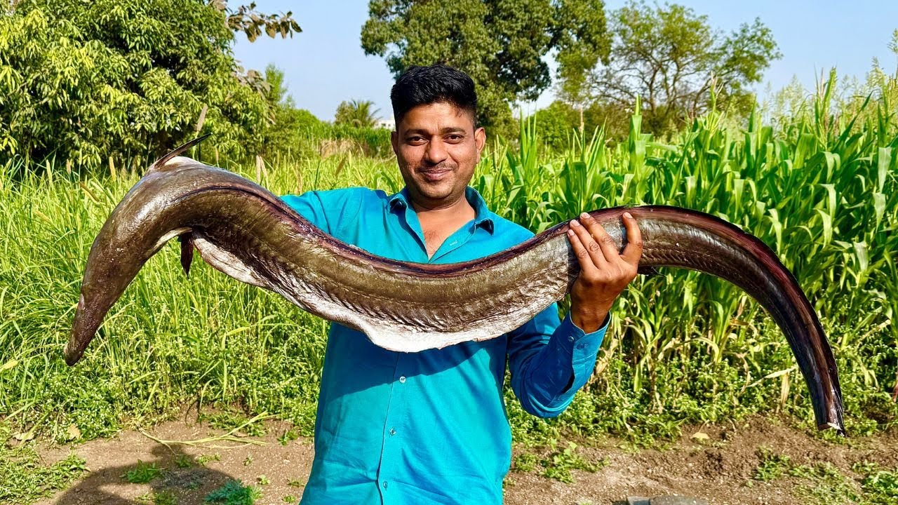 काळ्या वाम मास्याची झणझणीत फिश करी | Maharashtrian Style Black Vam Fish ...