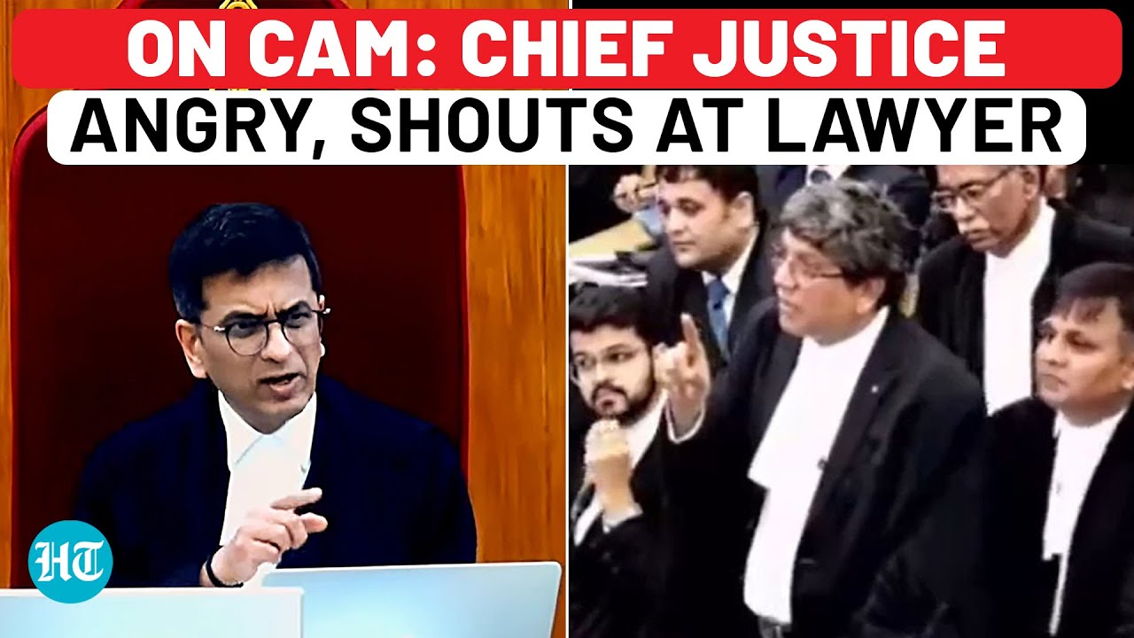 On Camera: CJI Chandrachud Angry At Lawyer, Calls Security During SC ...