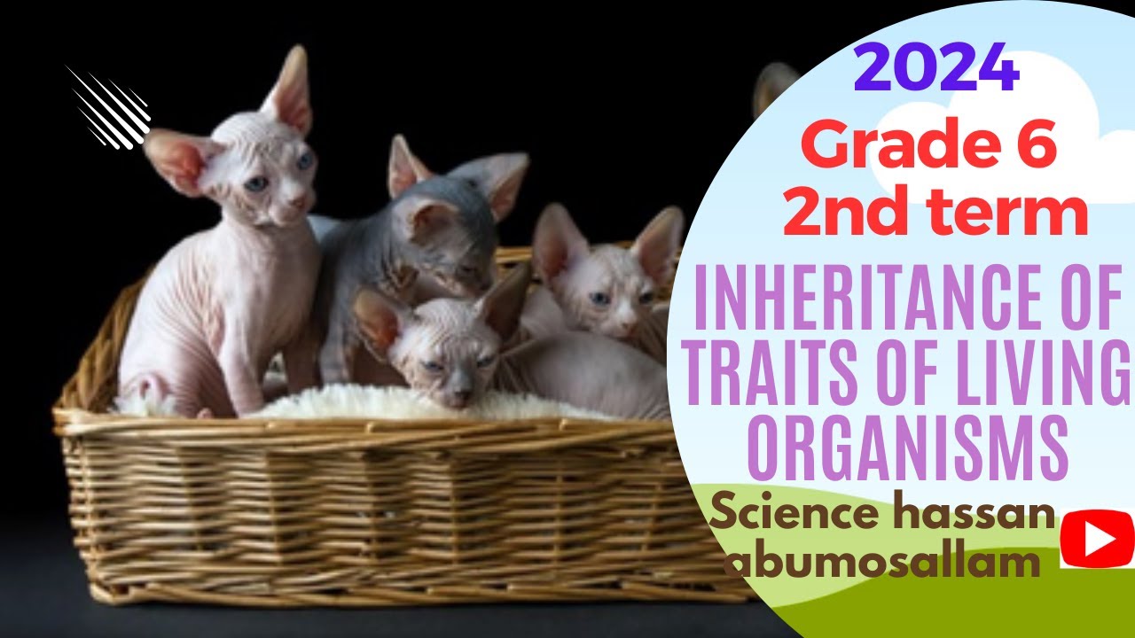 Inheritance of Traits of Living Organisms Grade 6 Second Term 2024 Unit ...