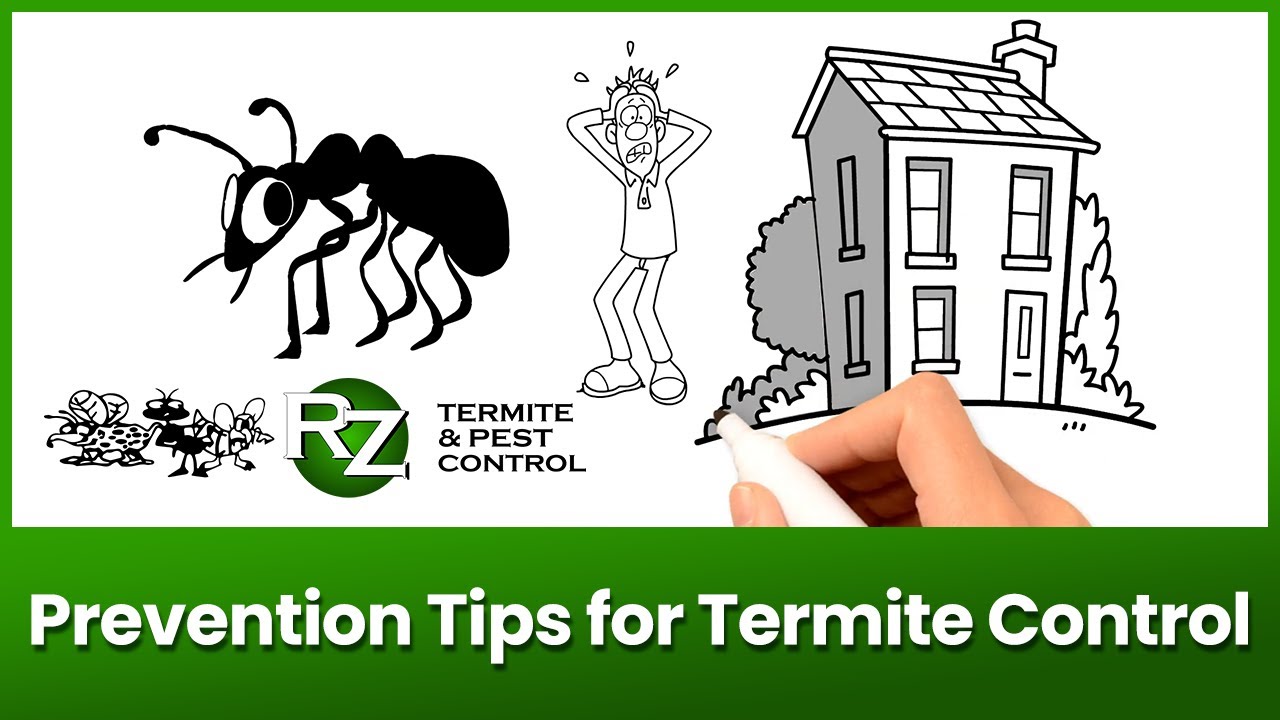 Prevention Tips for Termite Control - RZ Termite & Pest Control - YouTube