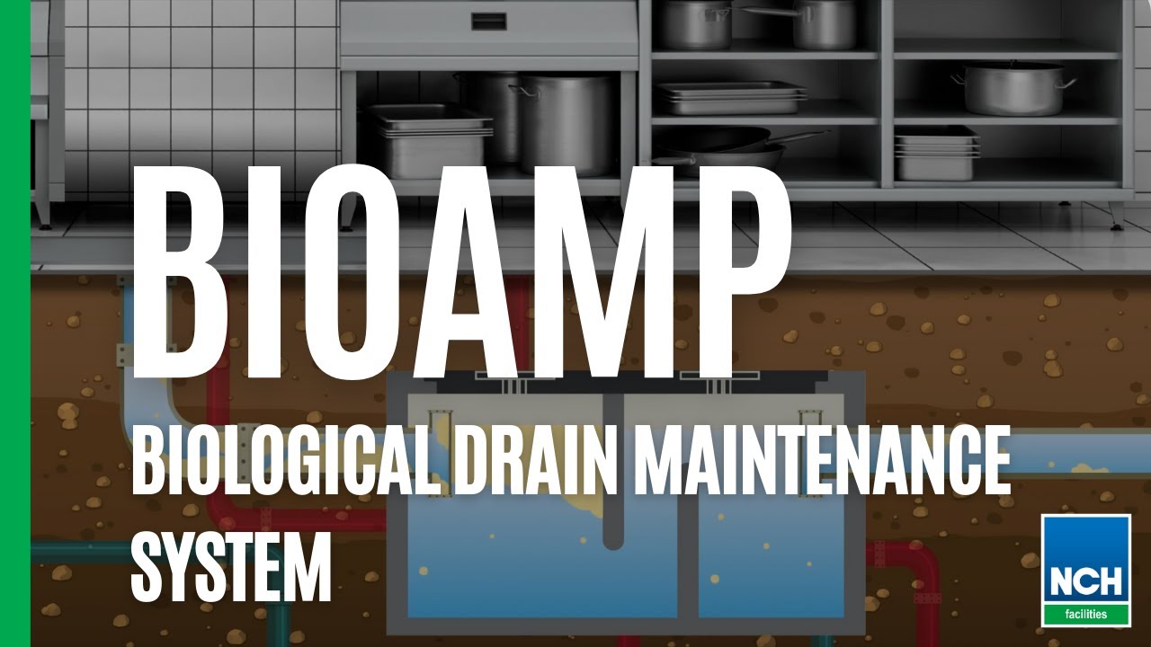 BIOAMP - BIOLOGICAL DRAIN MAINTENANCE SYSTEM - YouTube