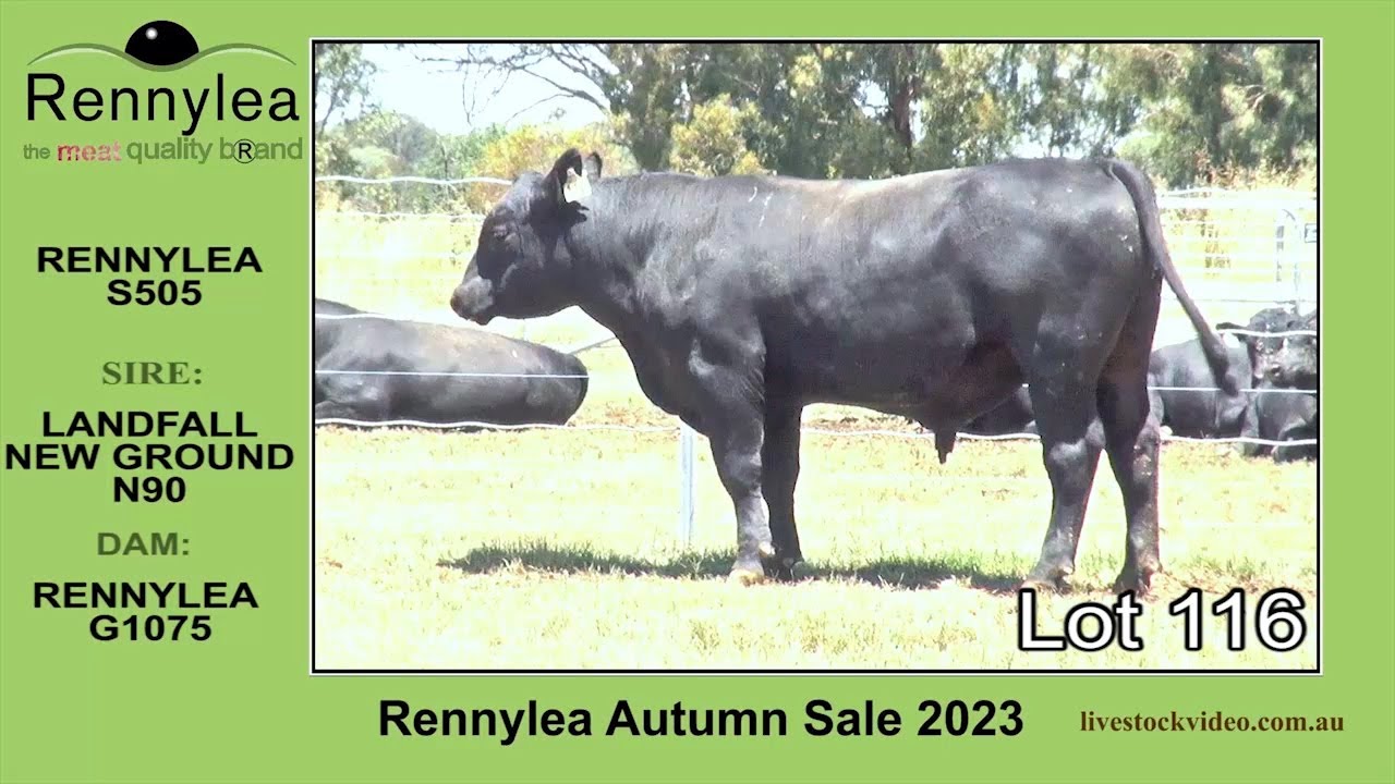 Lot 116 Rennylea March 2023 - YouTube