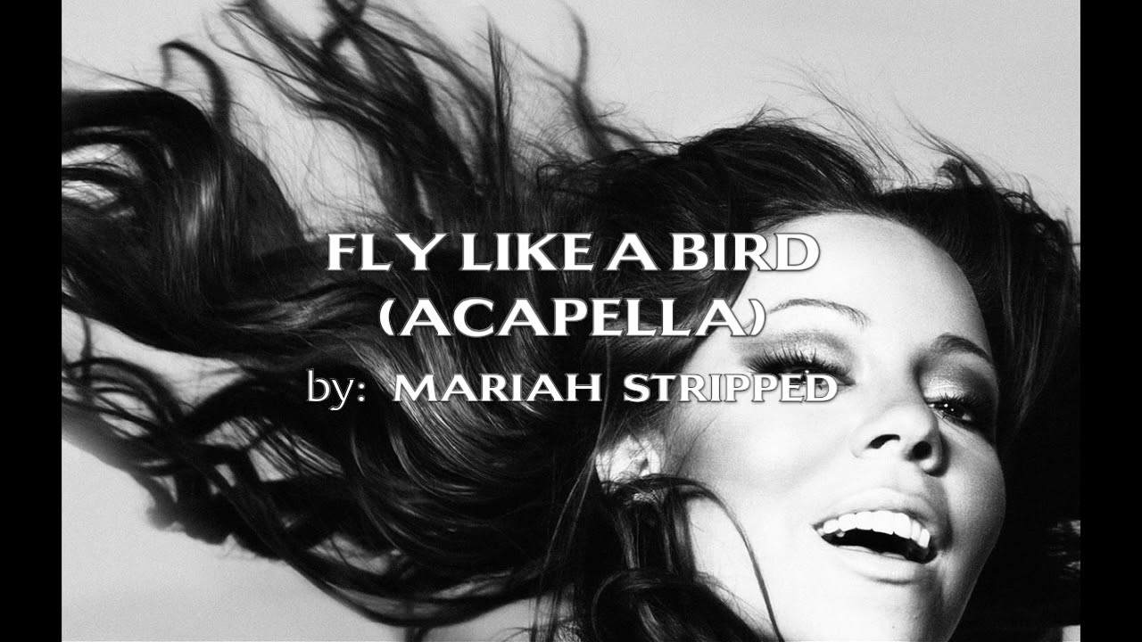Fly Like A Bird (Studio Acapella) Accordi - Chordify