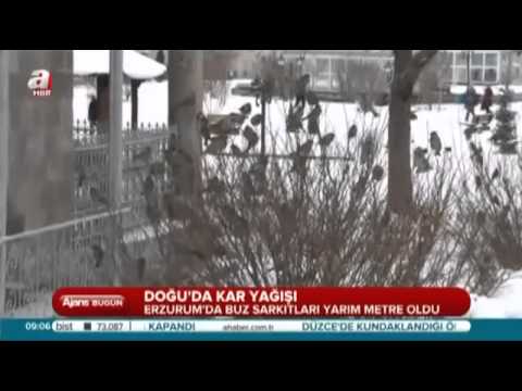 Fırtına Karadenizde can aldı!!