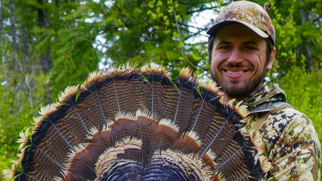 Turkey Hunting Washington 2020 - YouTube