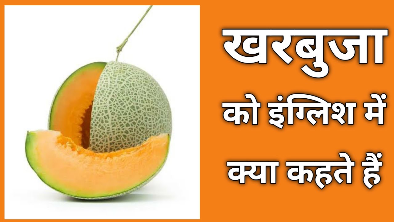 Kharbuja in English | Kharbuja ko english me kya kahte hain - YouTube