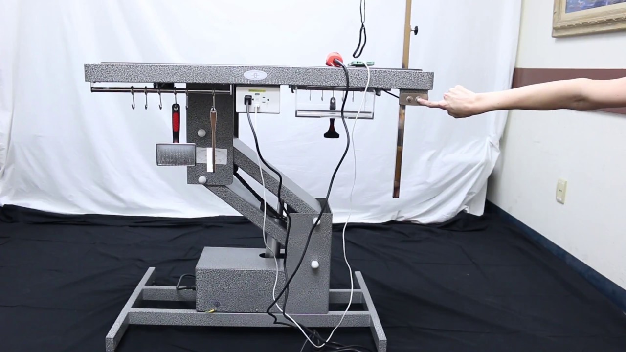 Paw Brothers Professional Electric Z-Style Grooming Table - YouTube