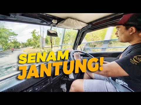 L300 Chili'yi Yükseltmek Böyle Bir Şey | Otostopçu Kum ve Biber Kamyonu