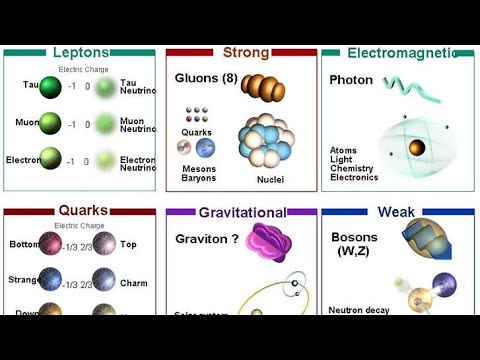 Is the universe fine tuned for life? (A fascinating topic, I wanted to ...