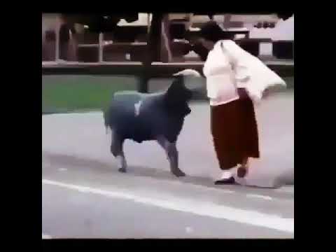 En gulmeli vidio baxın ve günün 😁👍